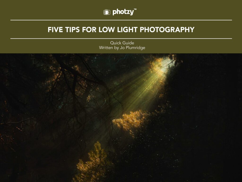 Essential Guides and Tips for Mastering Low Light Conditions ...
