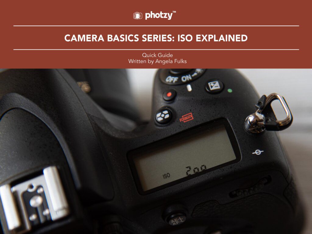 4 Guides on Key Fundamentals to Help You Master Your Camera | Contrastly