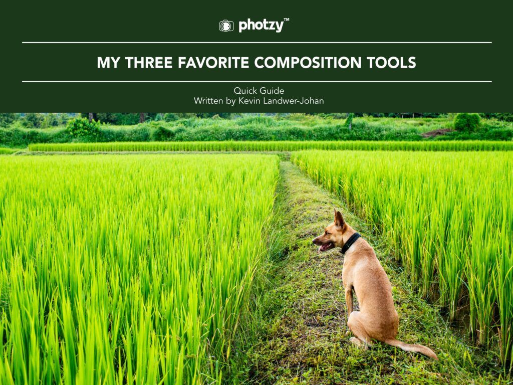 Transform Your Photos with These 4 Free Composition Guides | Contrastly