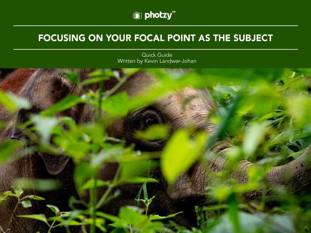 3 Free Guides on Crafting Eye Catching Photos Using Focal Points ...