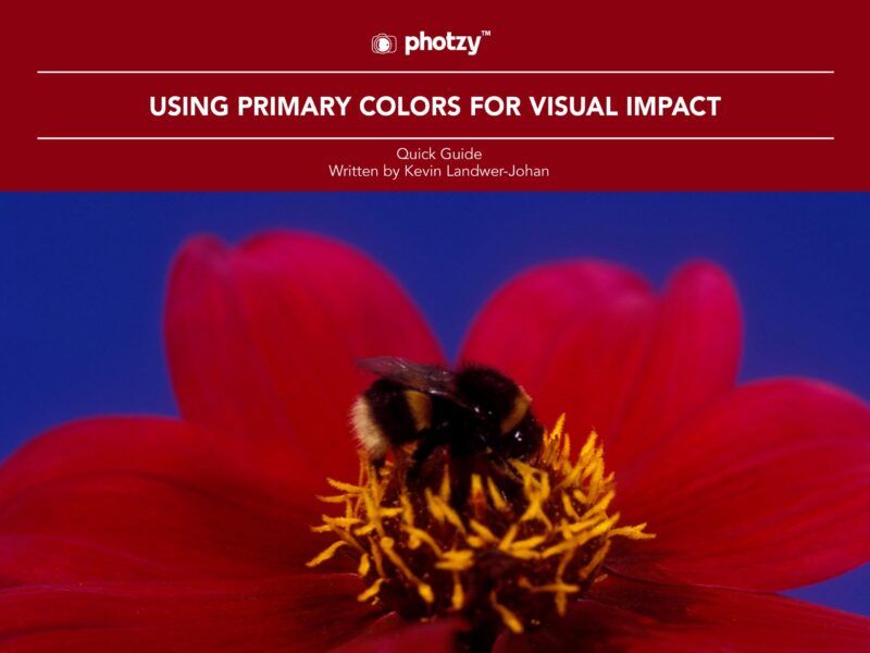 4 Free Guides to Using Color in Photography – Insights from Four ...