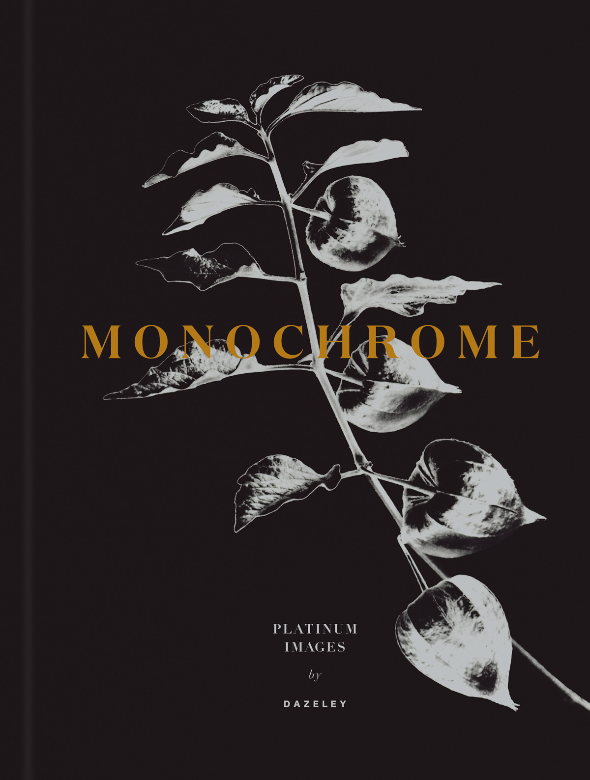 Monochrome – A New Book from Peter Dazeley | Contrastly