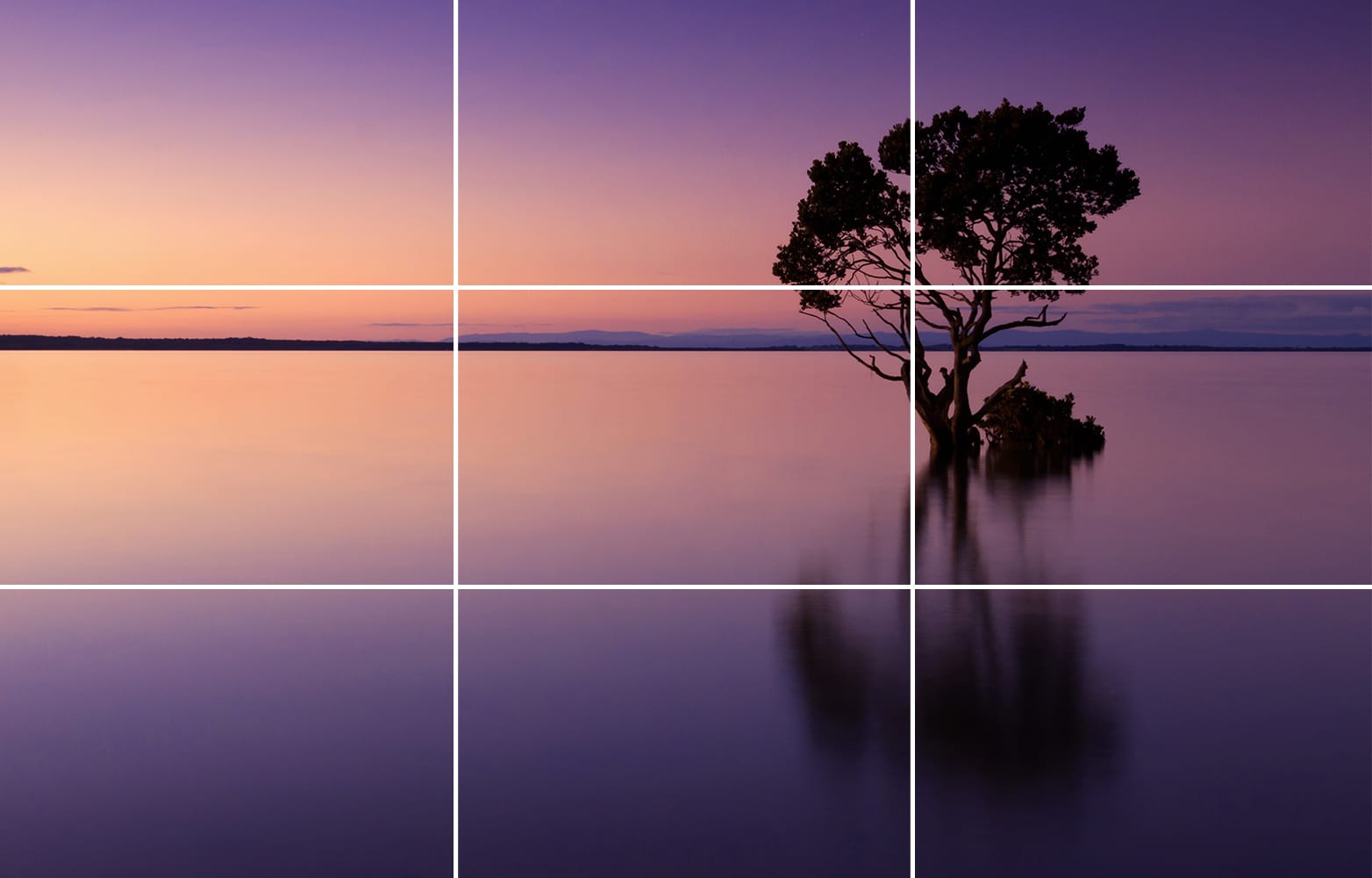 How To Arrange A Photographic Composition With The Rule Of Thirds 